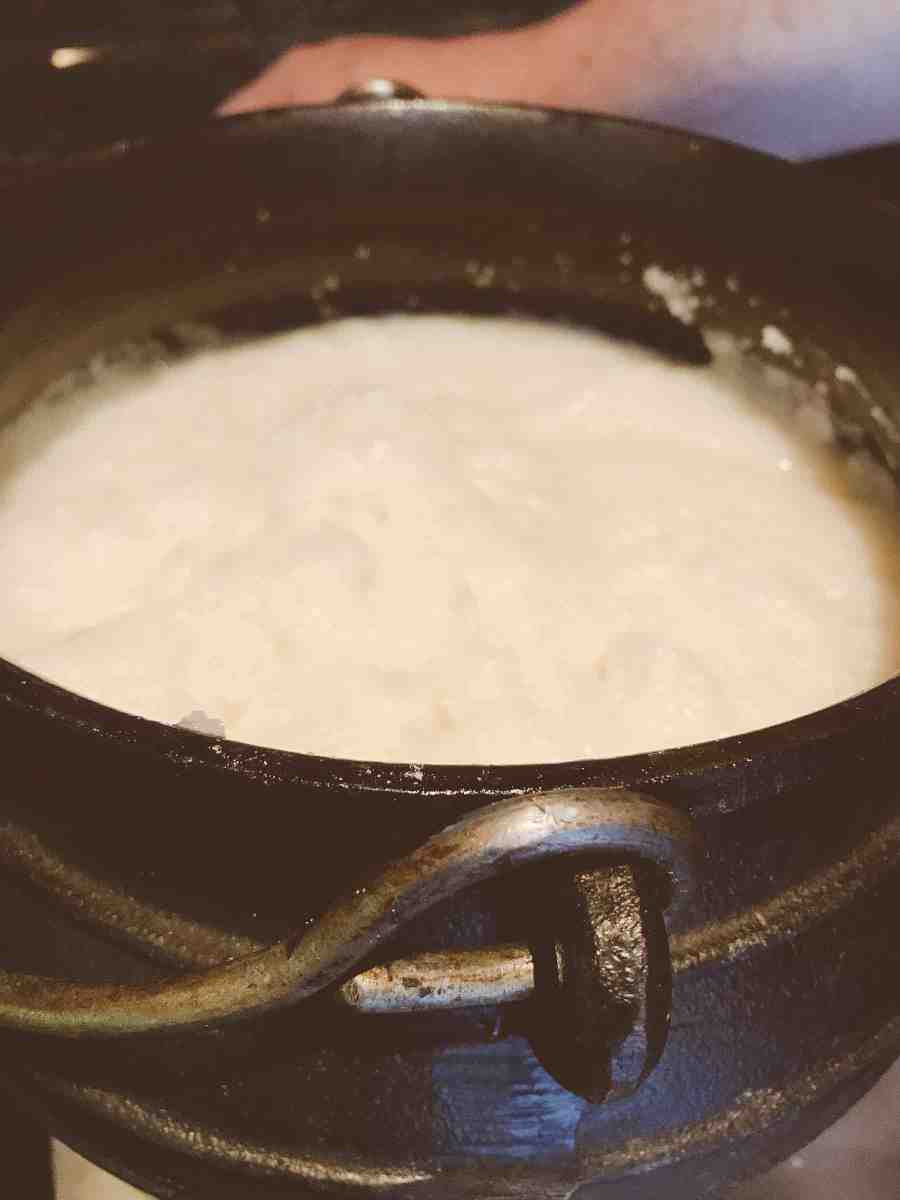 The Ultimate Guide to South African Mieliepap – Life, with Clotted Cream